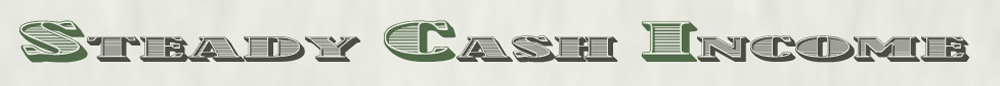 Steady Cash Income - SteadyCashIncome.com